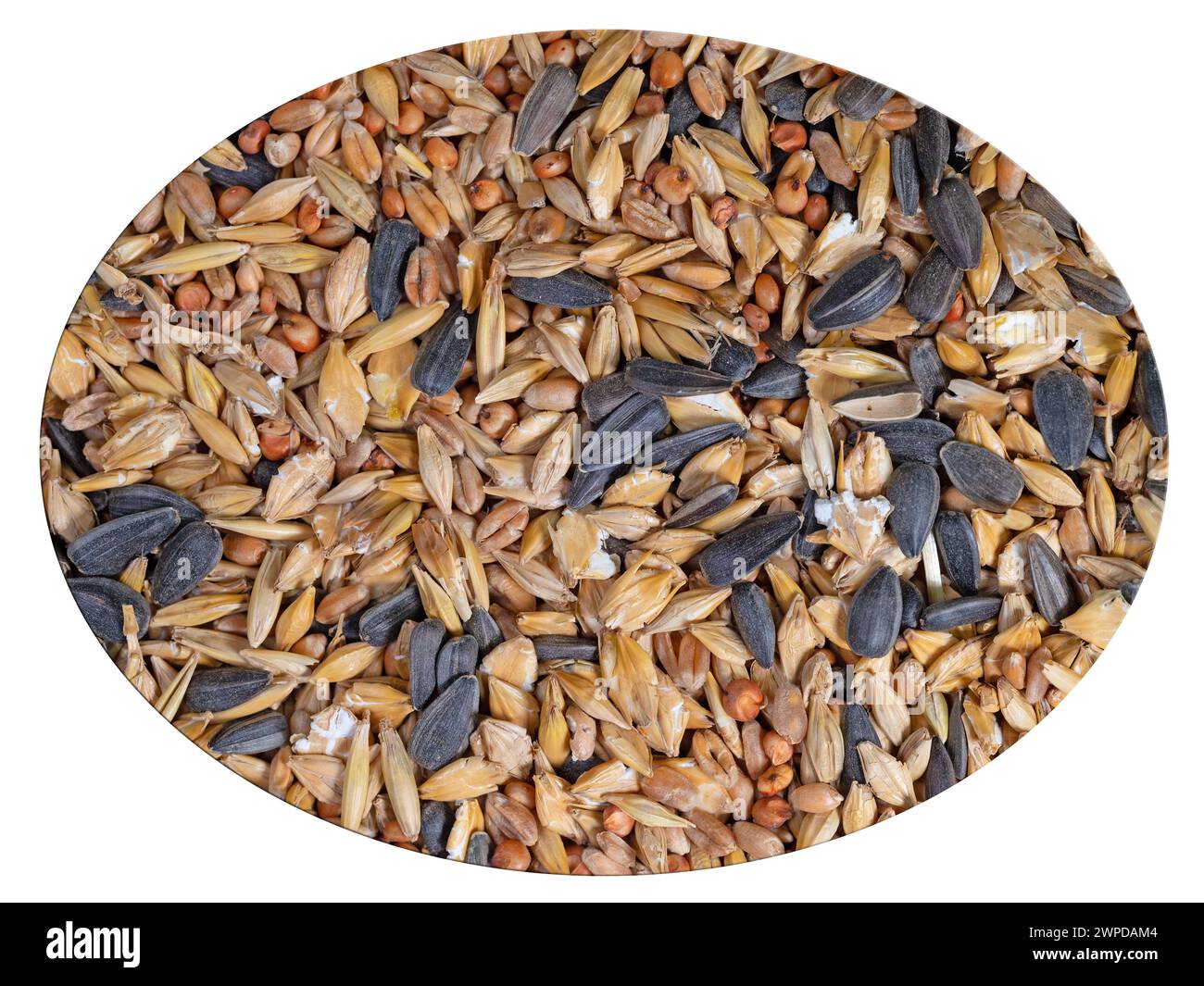 Animal scatter food isolated against white background Stock Photo - Alamy