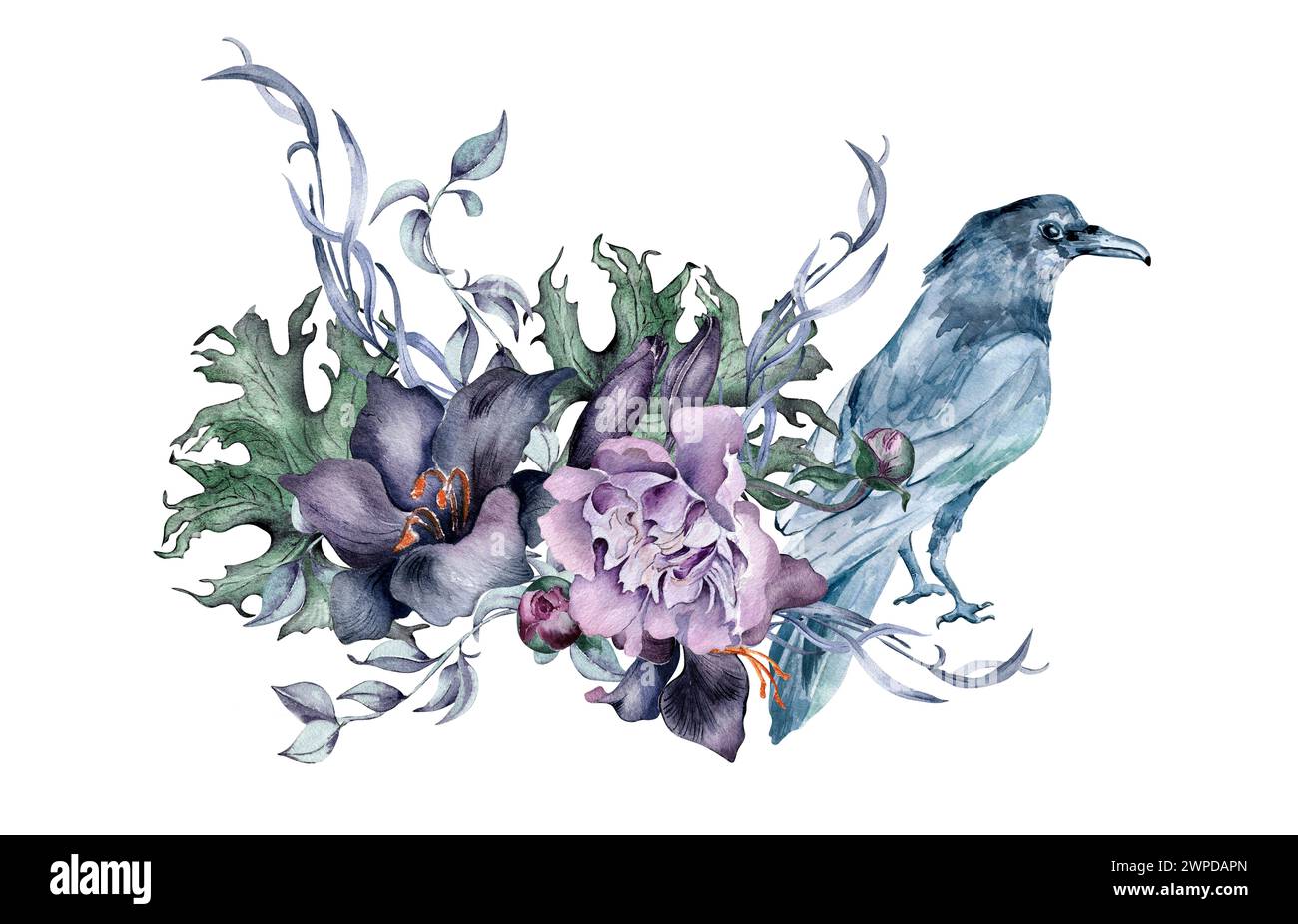 Purple and white crow design hi-res stock photography and images - Alamy