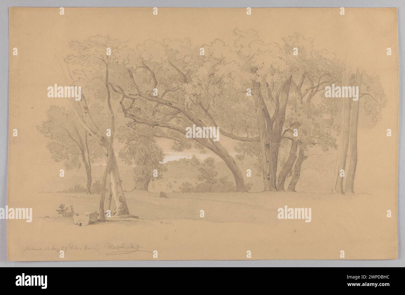 View of the park at Villa Doria Pamphilj in Albano by Arthur Blaschnik ...