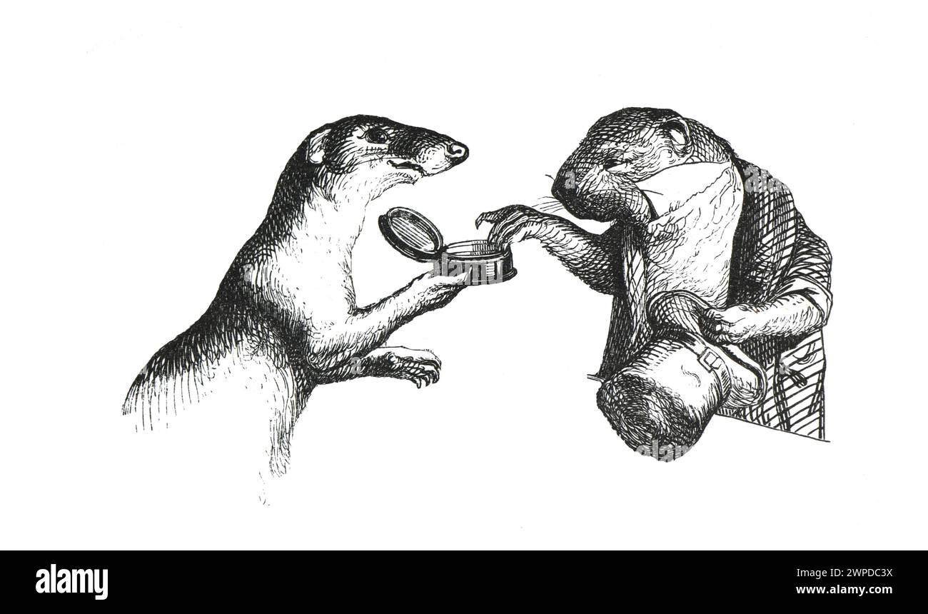 Anthropomorphic animals. humanized cyborg animals. CRISPR. CAS9. Aliens ...