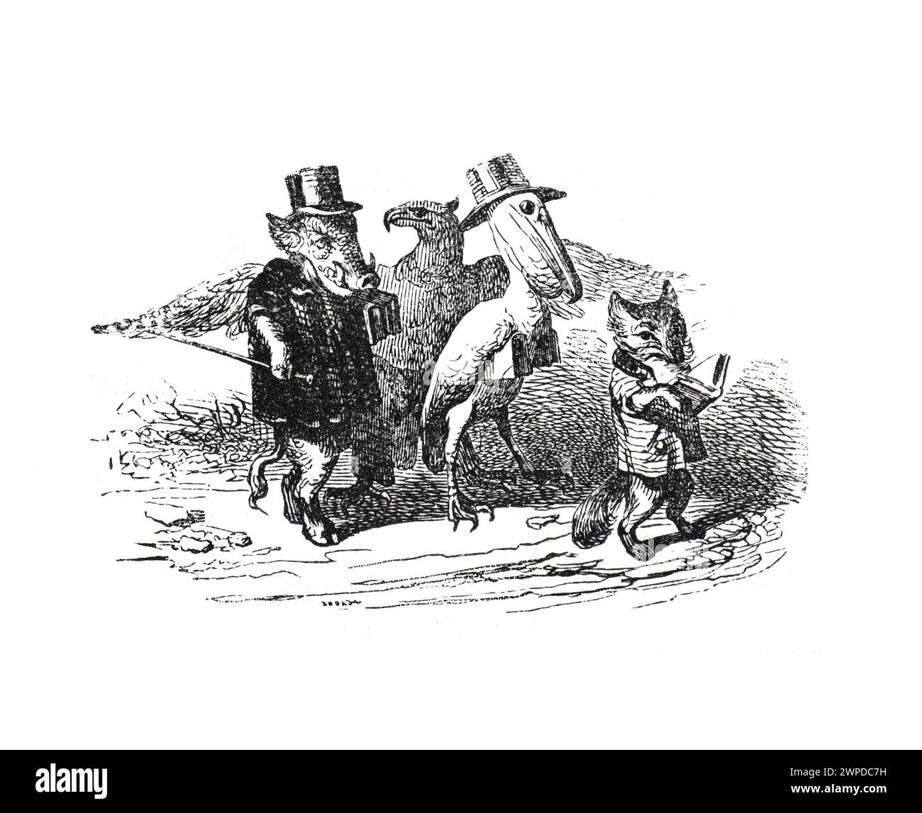 Anthropomorphic animals.fox boar, eagle, and pelican. humanized cyborg ...