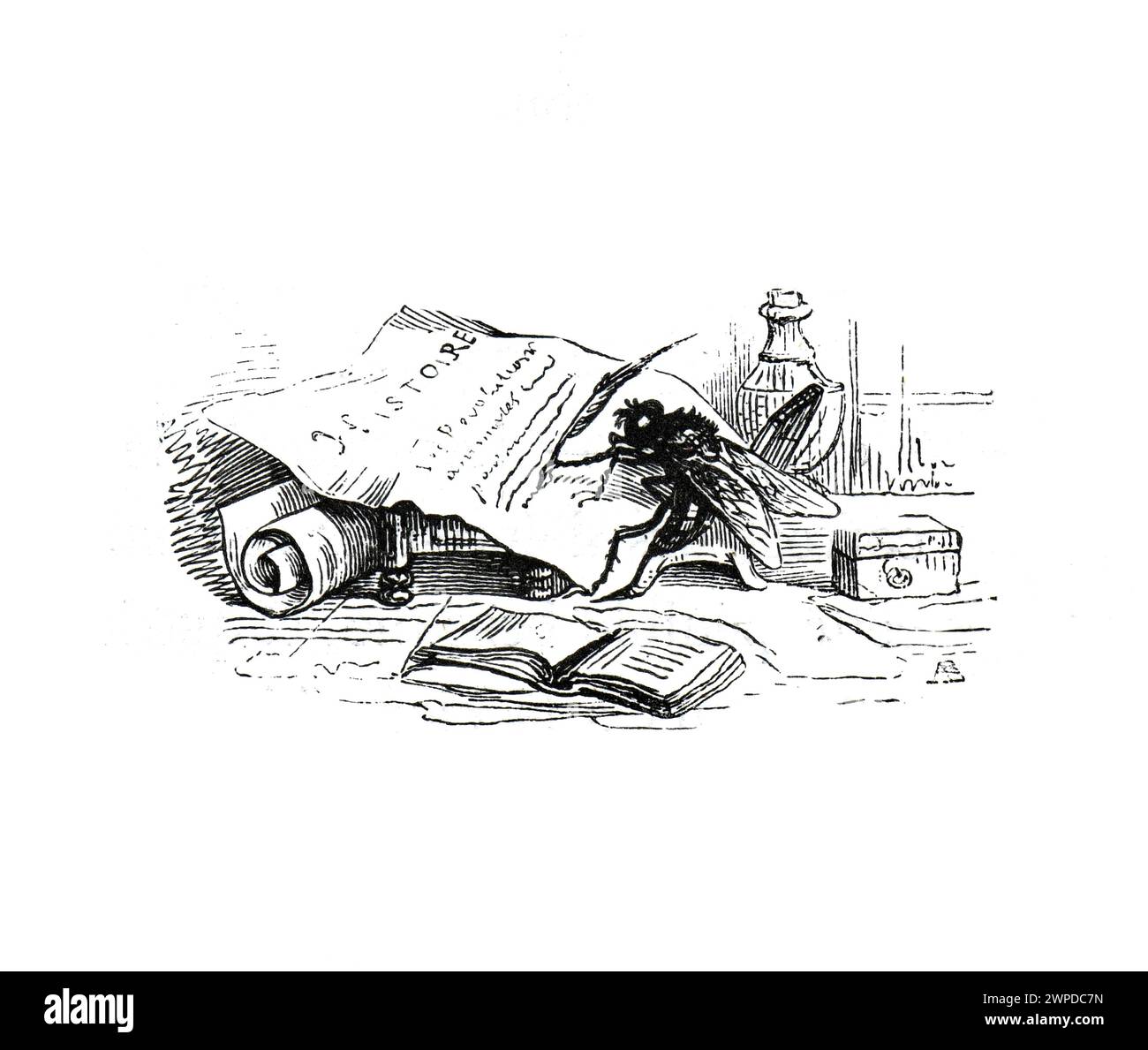 Anthropomorphic animals. fly writes a letter. humanized cyborg animals ...