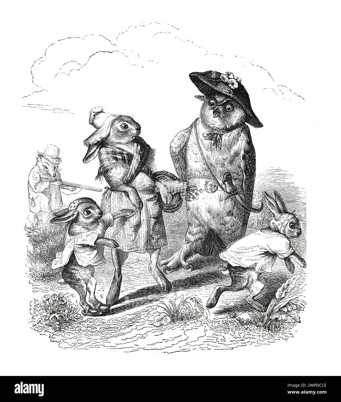 Anthropomorphic animals.Owl dressed as a pirate. humanized cyborg ...