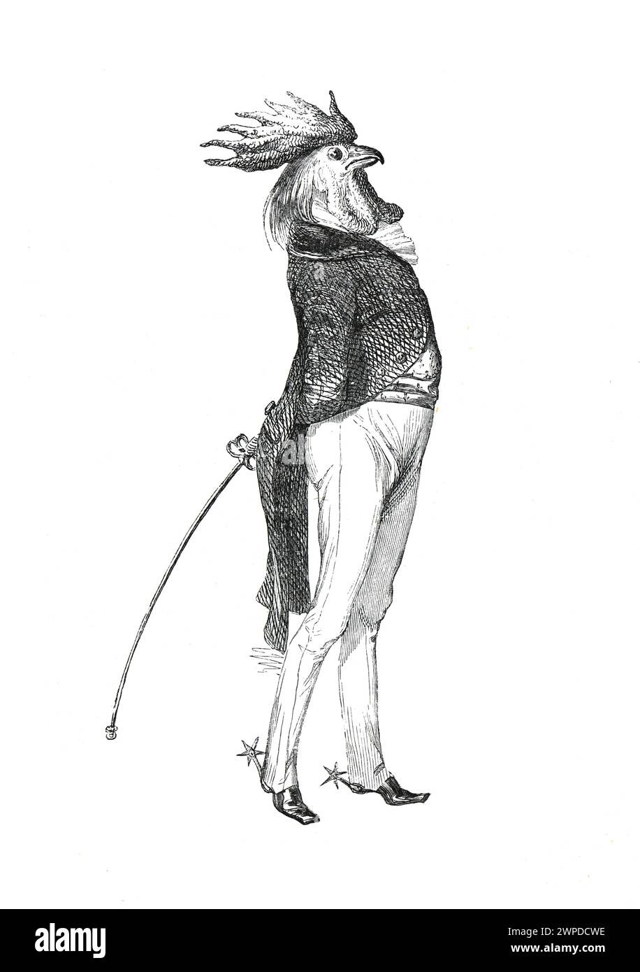 Anthropomorphic animals. Humanized rooster in costume.cyborg animals ...