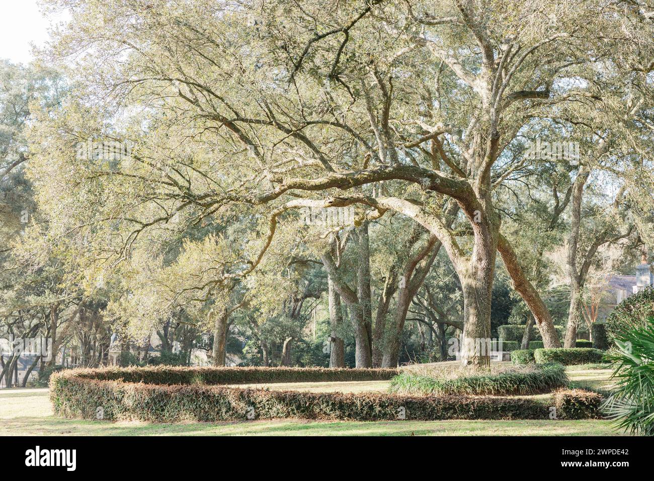 Alabama plantation hi-res stock photography and images - Alamy
