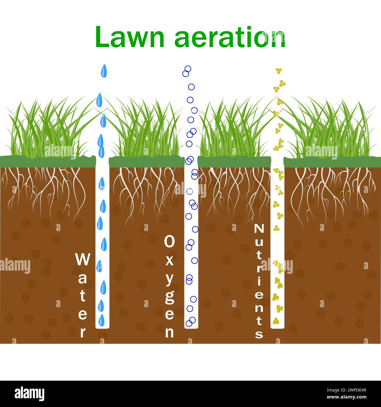 Soil aeration vector vectors hi-res stock photography and images - Alamy
