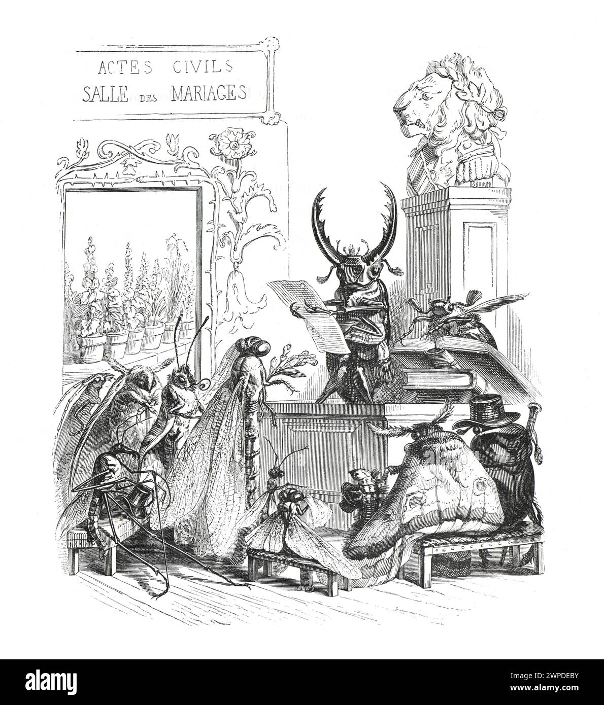 Anthropomorphic animals. Beetle as Civil Registar. humanized cyborg ...