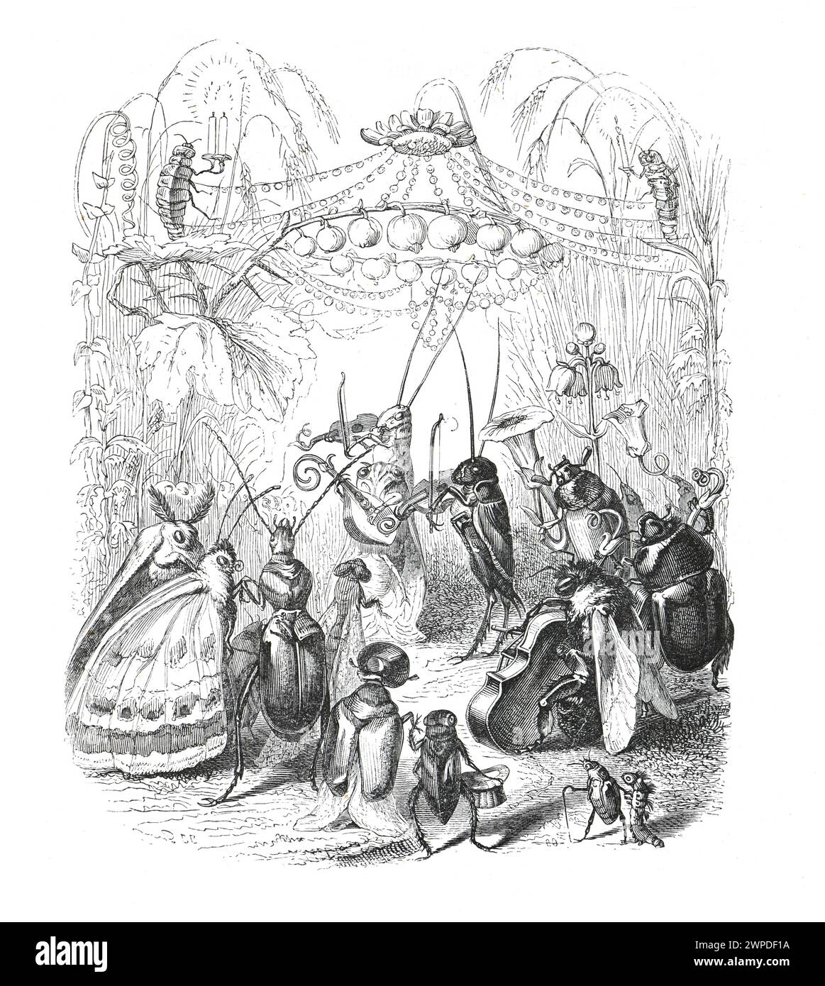 Anthropomorphic animals.Concert given by insects.humanized cyborg ...