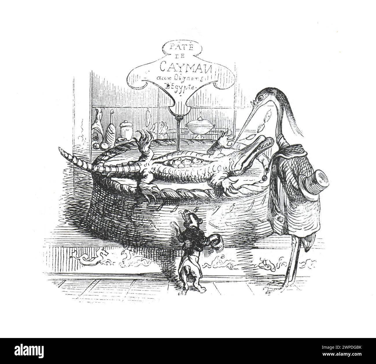 Anthropomorphic animals. crocodile in swimmingpool .humanized cyborg ...