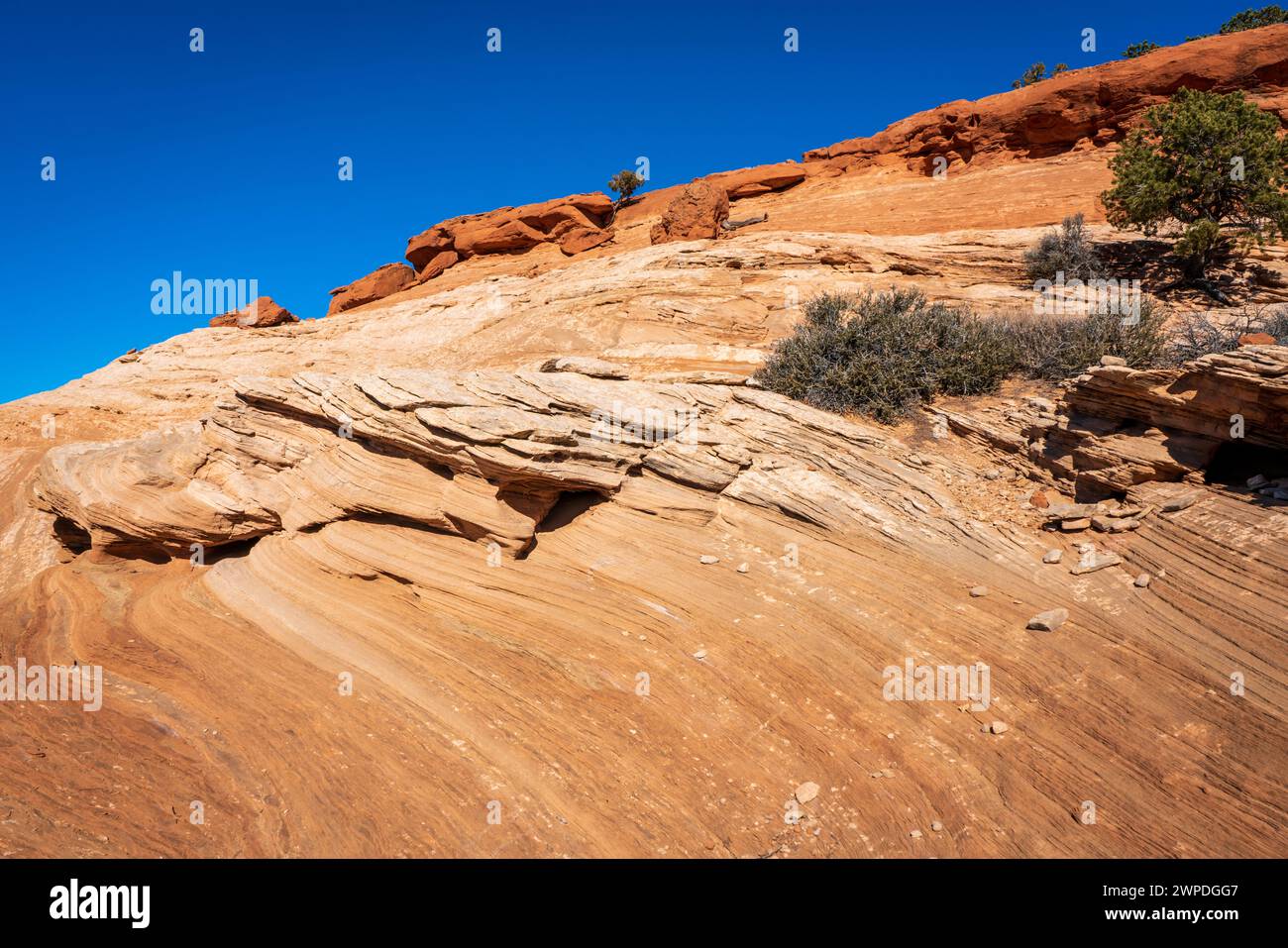Canyonlands National Park in southeastern Utah, USA Stock Photo - Alamy
