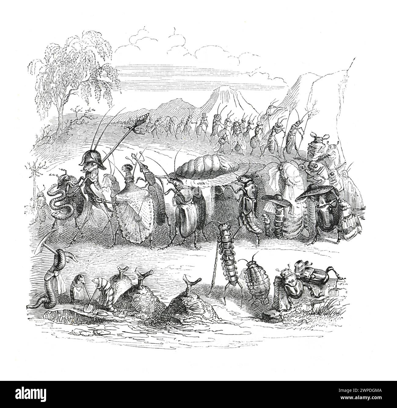 Anthropomorphic animals.Beetles going on for war. humanized cyborg ...