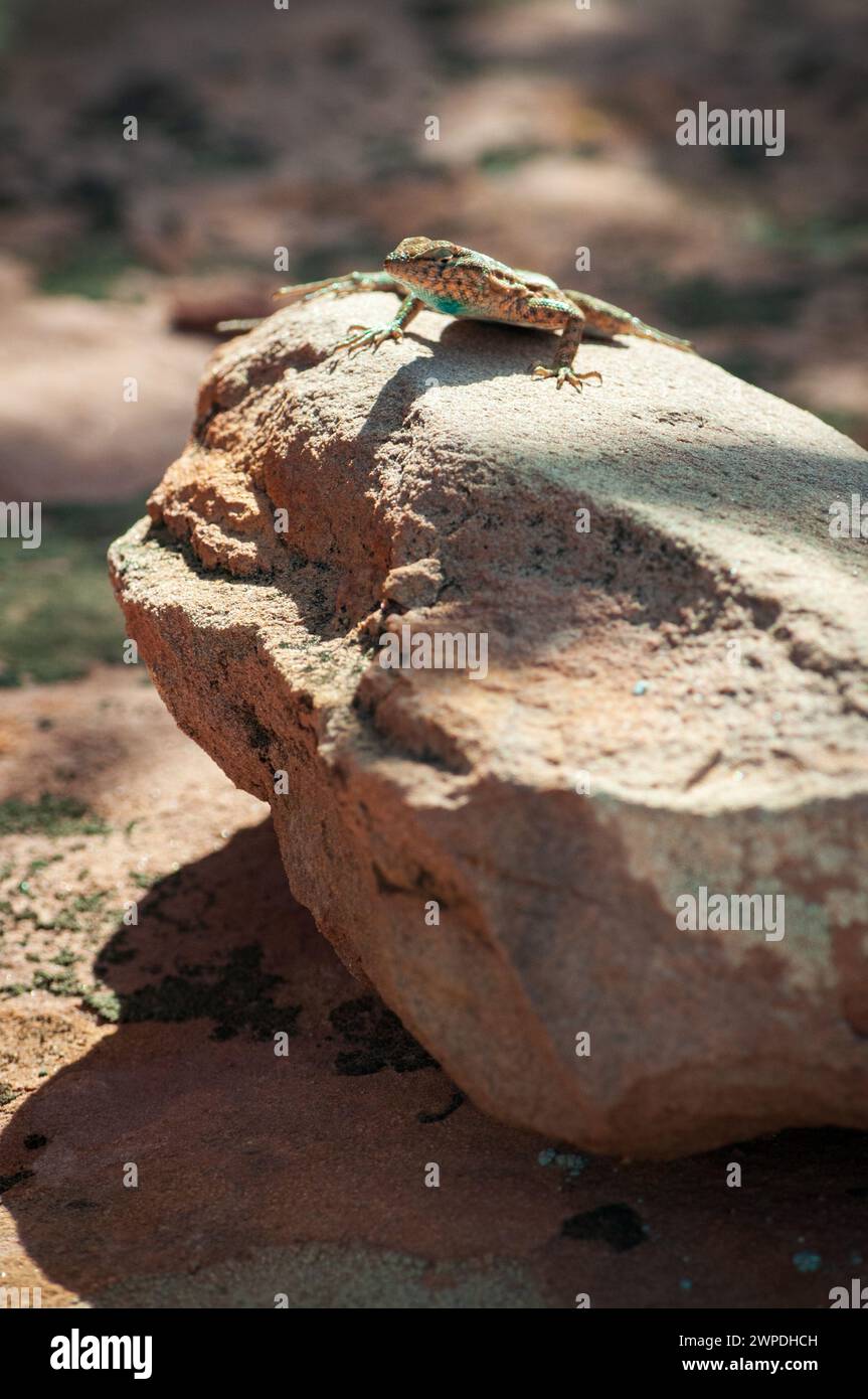 Southeastern utah landscapes hi-res stock photography and images - Alamy