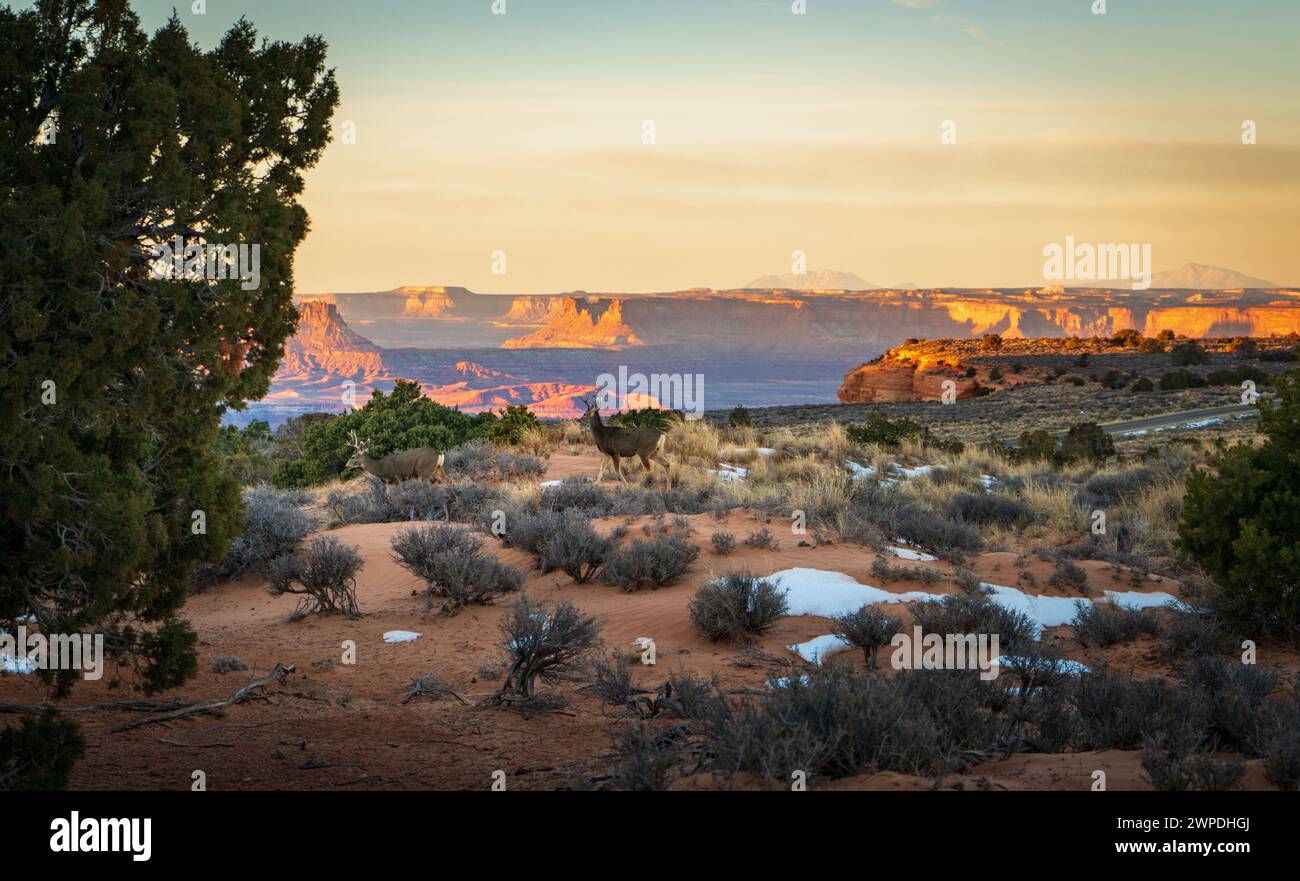 Winter Sunrise at a Vista, Canyonlands National Park in southeastern ...