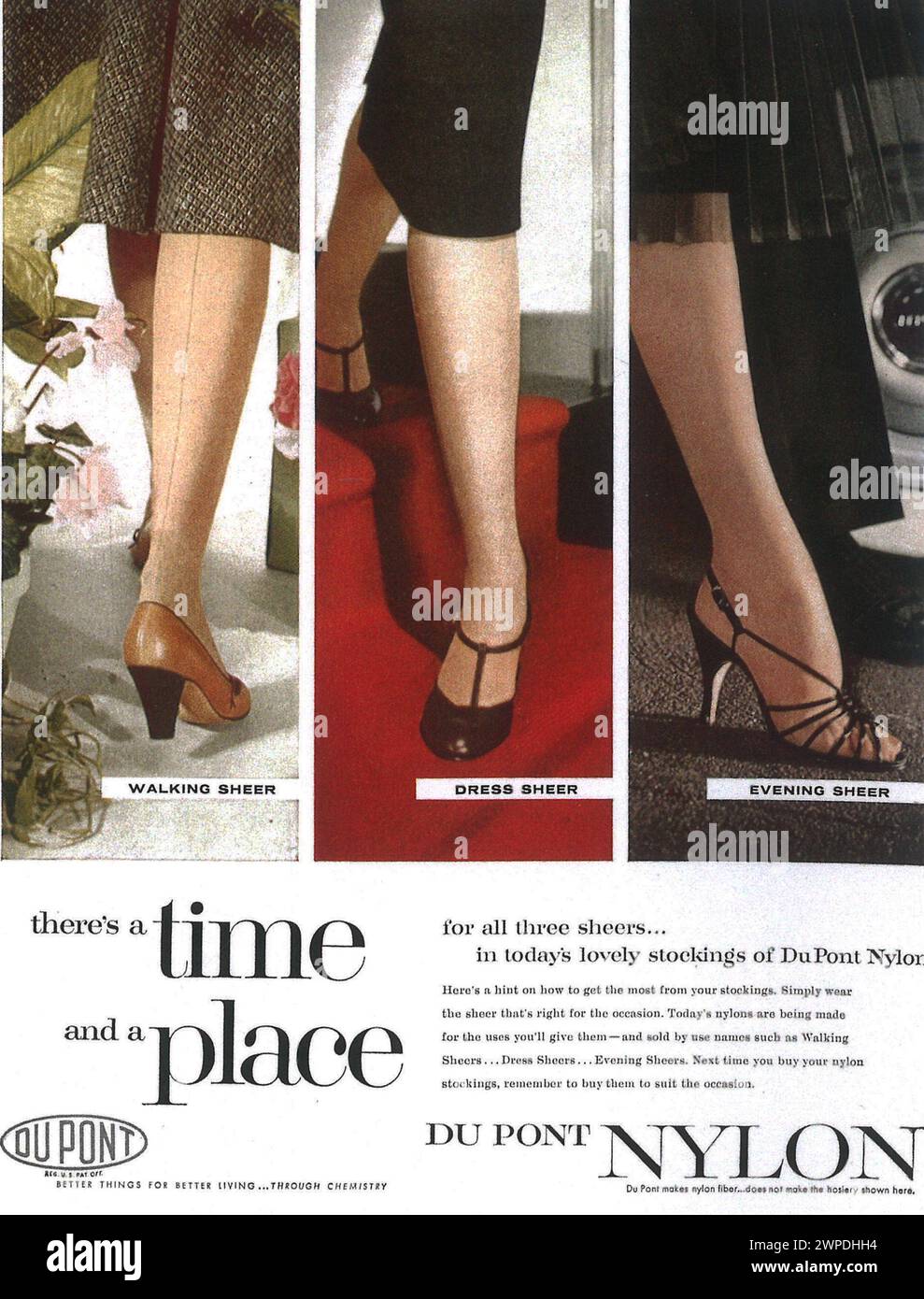 Nylon stockings 1950s hi-res stock photography and images - Alamy