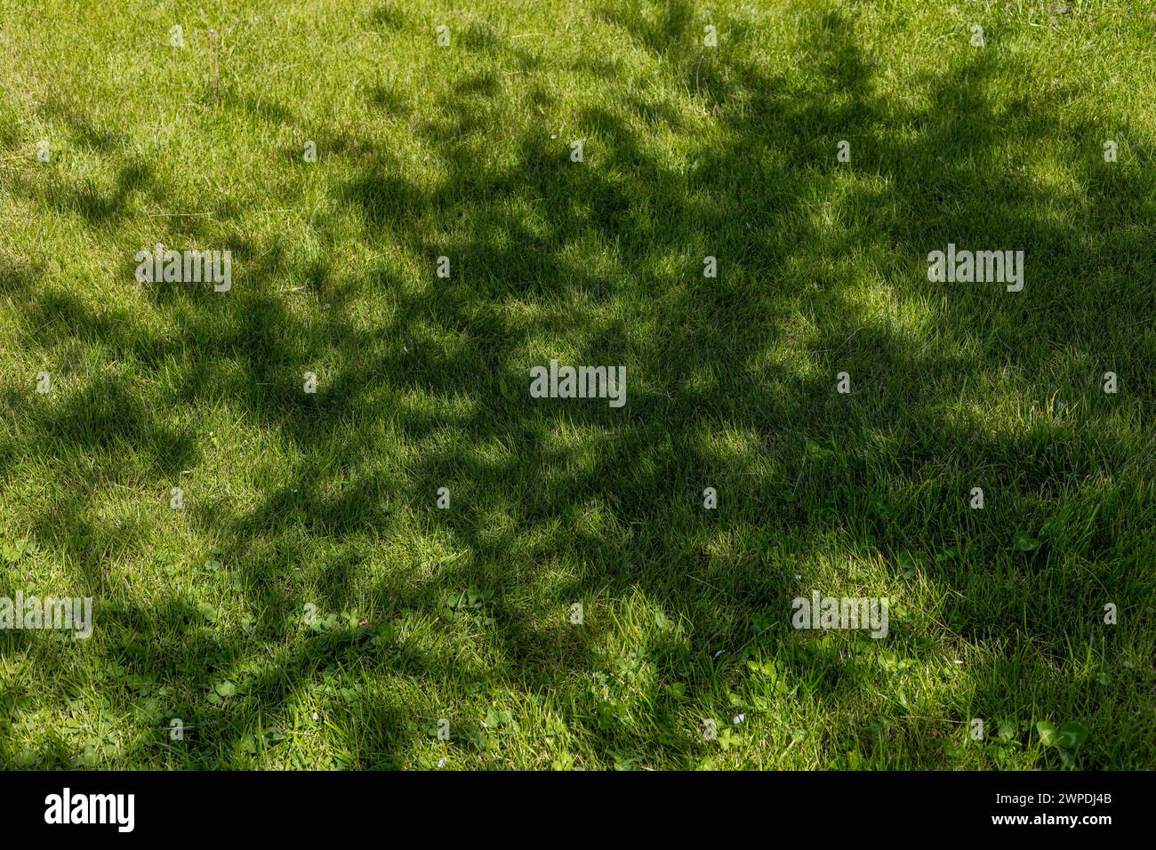 Shade pattern on grass hi-res stock photography and images - Alamy
