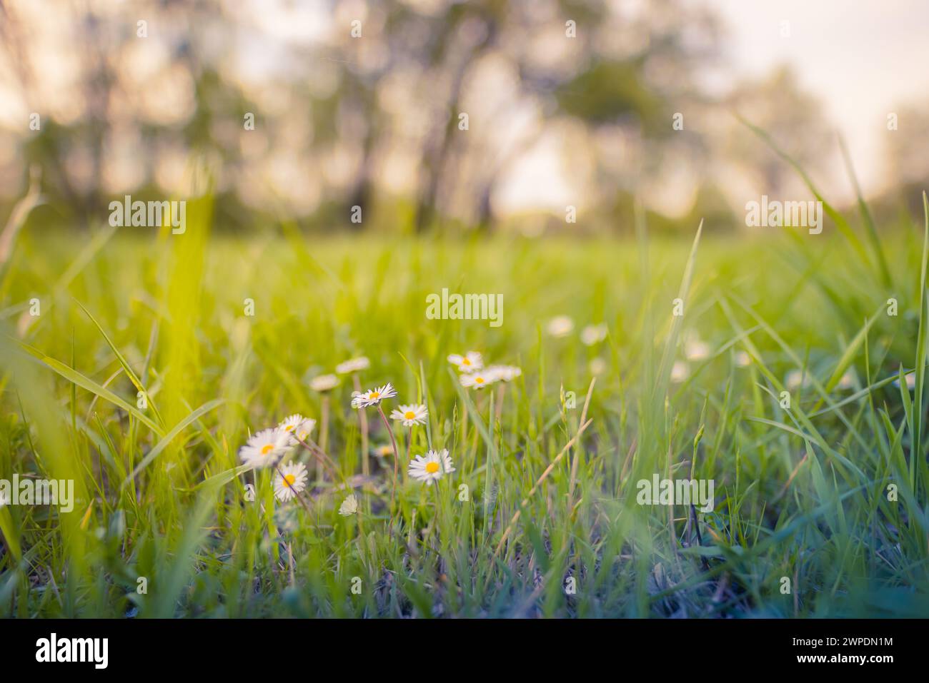 Spring harmony hi-res stock photography and images - Alamy
