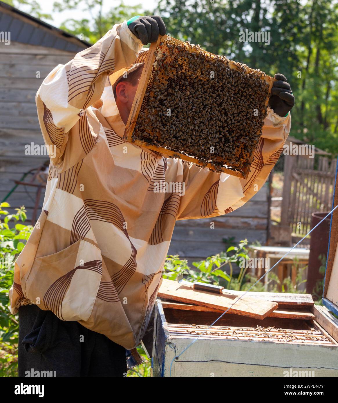 Male beekeeper in protective mask hi-res stock photography and images ...