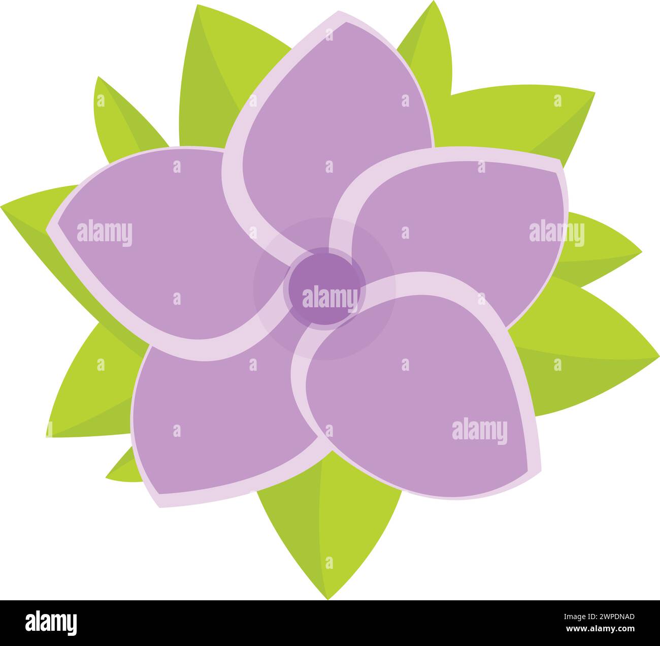 Violet Bali flower icon cartoon vector. Summer nature. Beauty of island ...