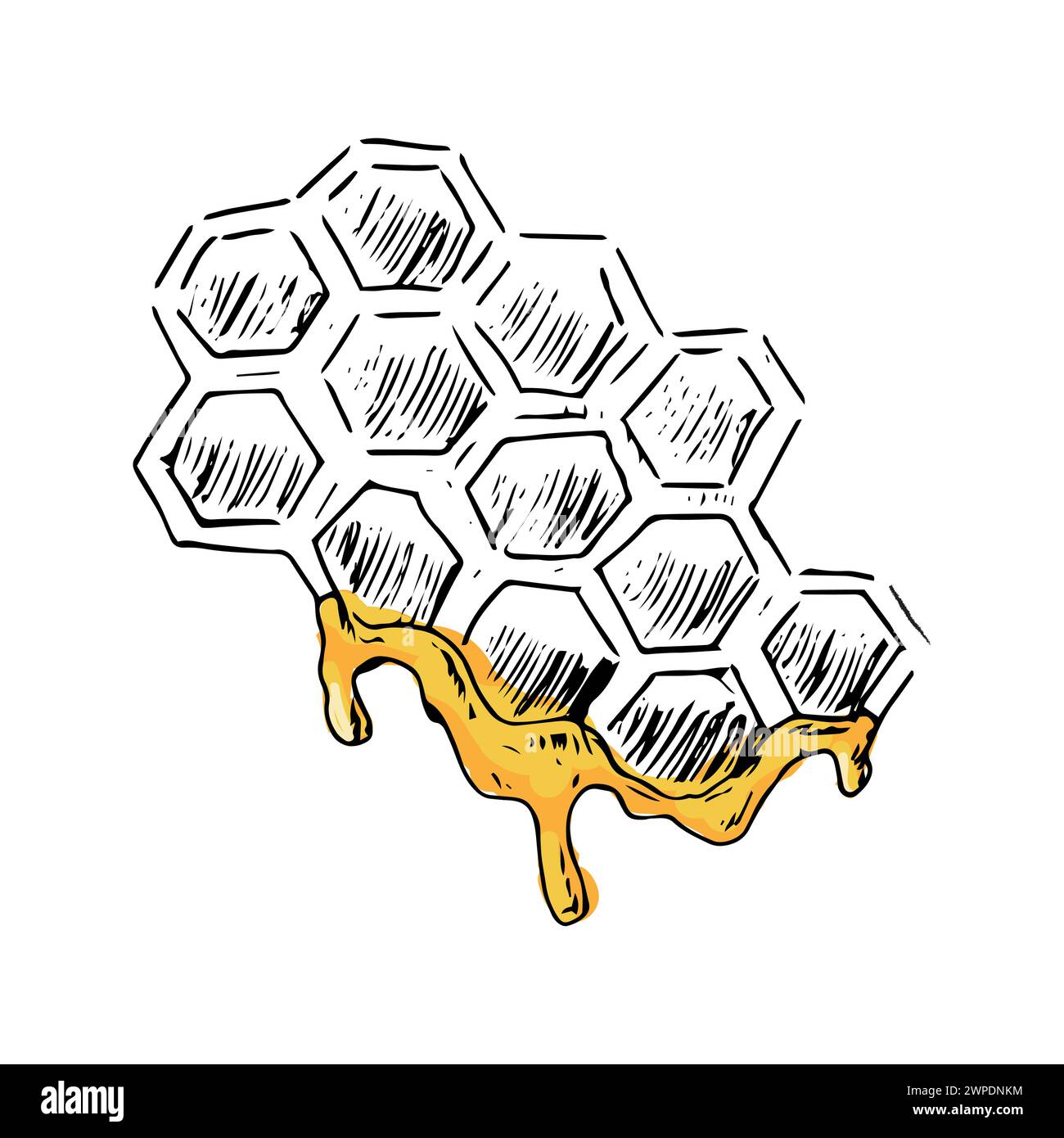 Honey cell hand drawn sketch in color. Vector illustration can used for ...