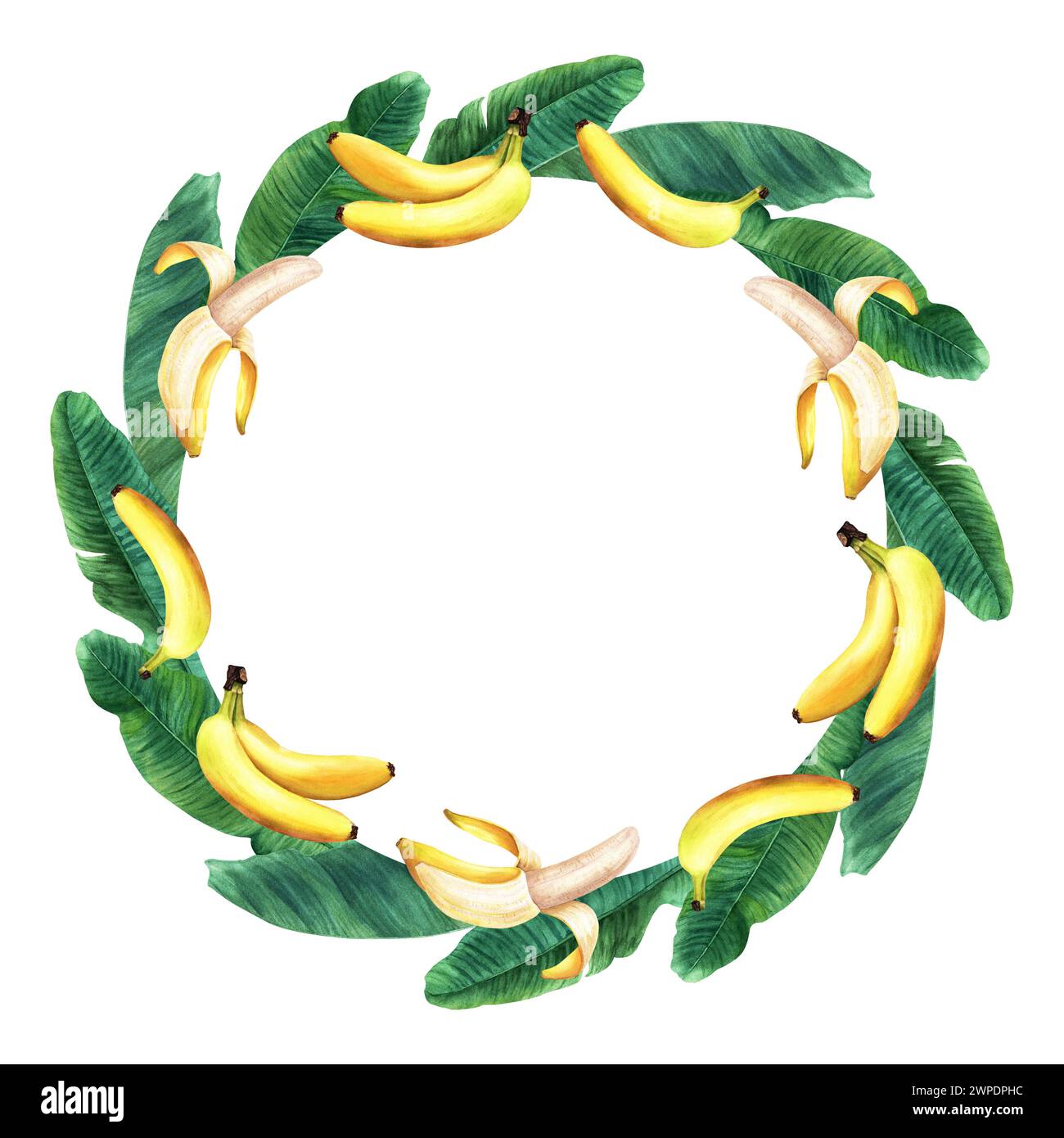 Watercolor wreath frame with banana tree leaves and fruits. Hand drawn ...