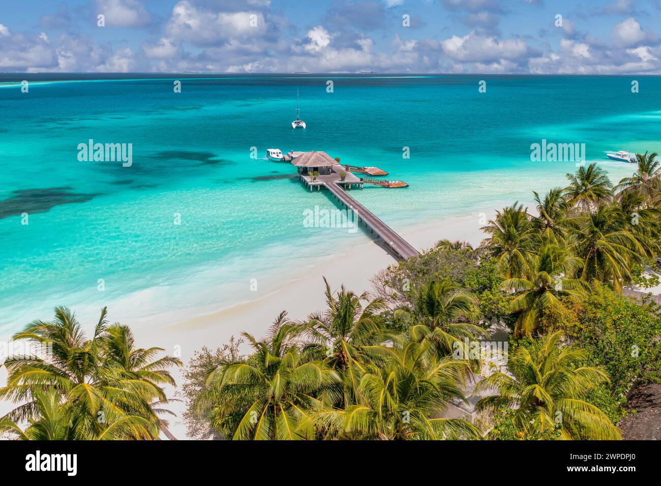 Aerial view of beautiful white sand beach and palm trees. Luxury beach ...