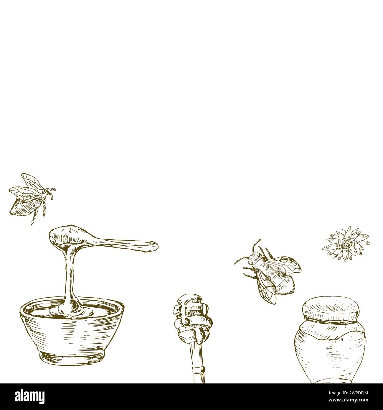 Honey background - hand drawn sketch outline. Vector illustration can ...
