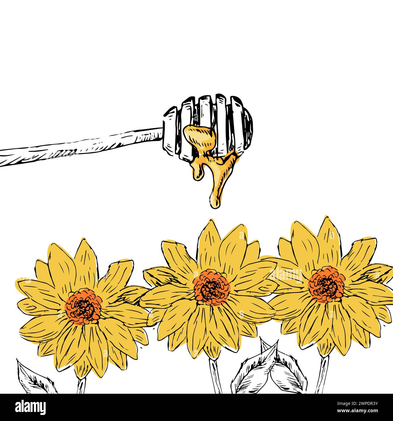 Honey background with flower hand drawn sketch in color. Vector ...