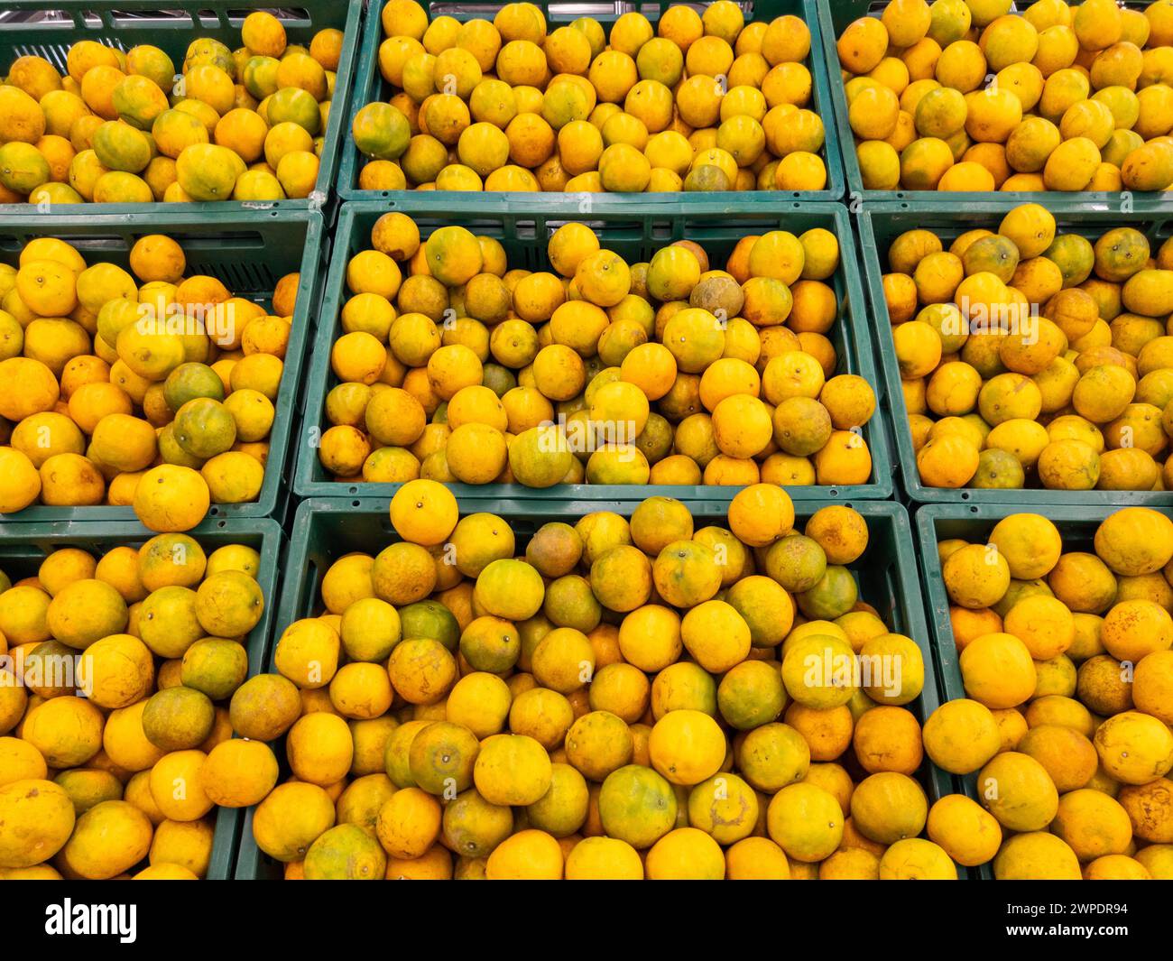 Fresh and sweet orange in the display tray for sale in the hypermarket ...