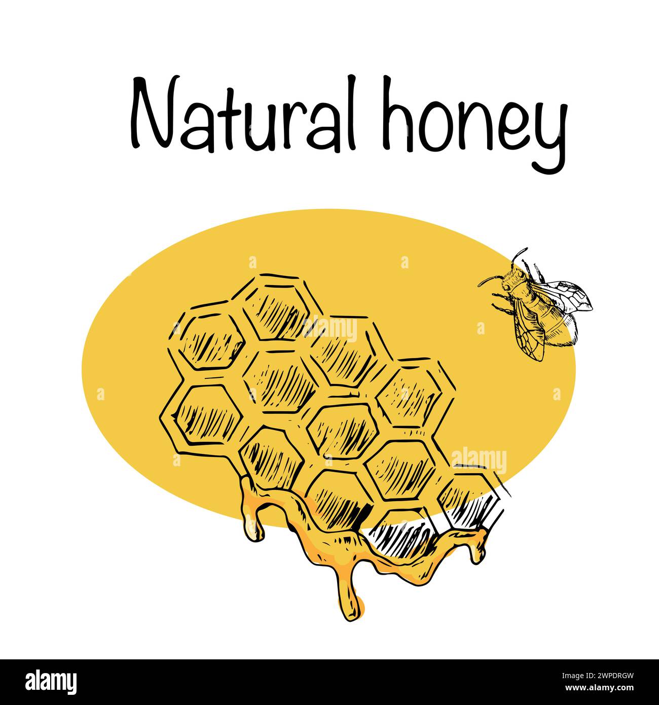Honey comb and bee hand drawn sketch in color. Vector illustration can ...