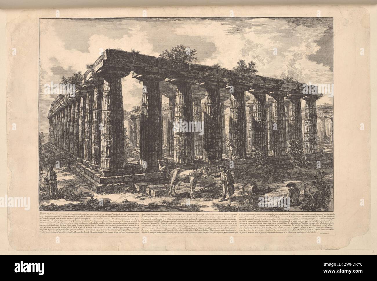 La lucanie hi-res stock photography and images - Alamy
