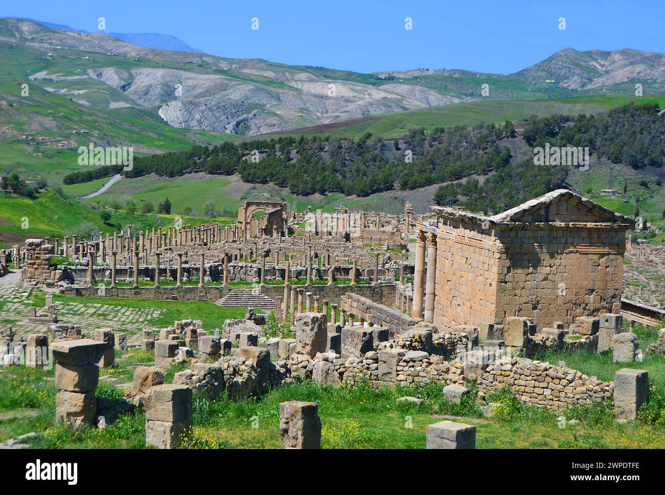 Temple of Severus in the Roman city of Cuicul, Algeria Stock Photo - Alamy