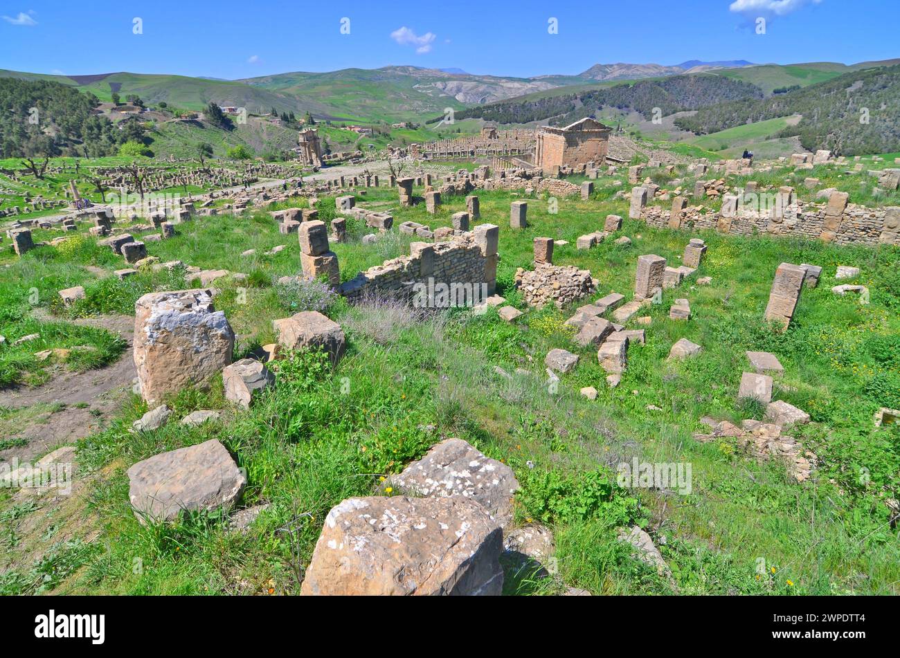Temple of Severus in the Roman city of Cuicul, Algeria Stock Photo - Alamy
