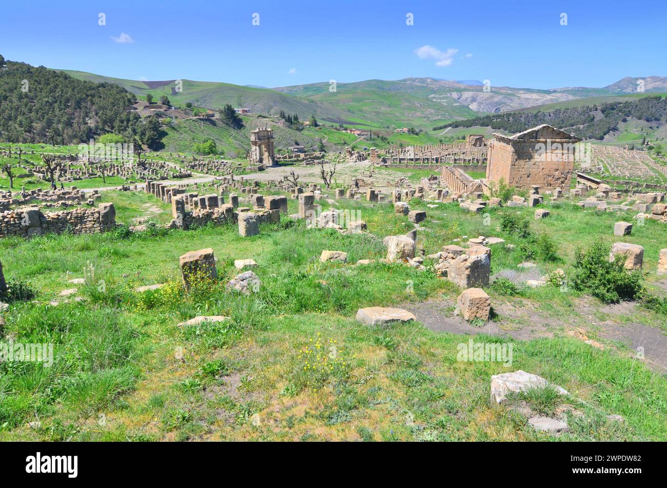 Temple of Severus in the Roman city of Cuicul, Algeria Stock Photo - Alamy