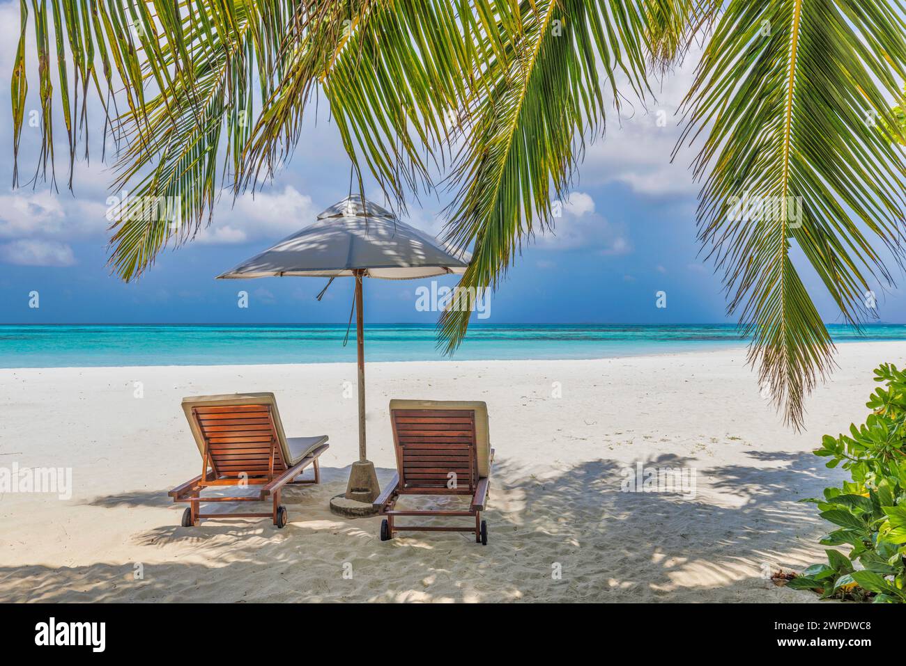 Tropical beach couple background as summer landscape with lounge chairs palm trees calm sea sand ...