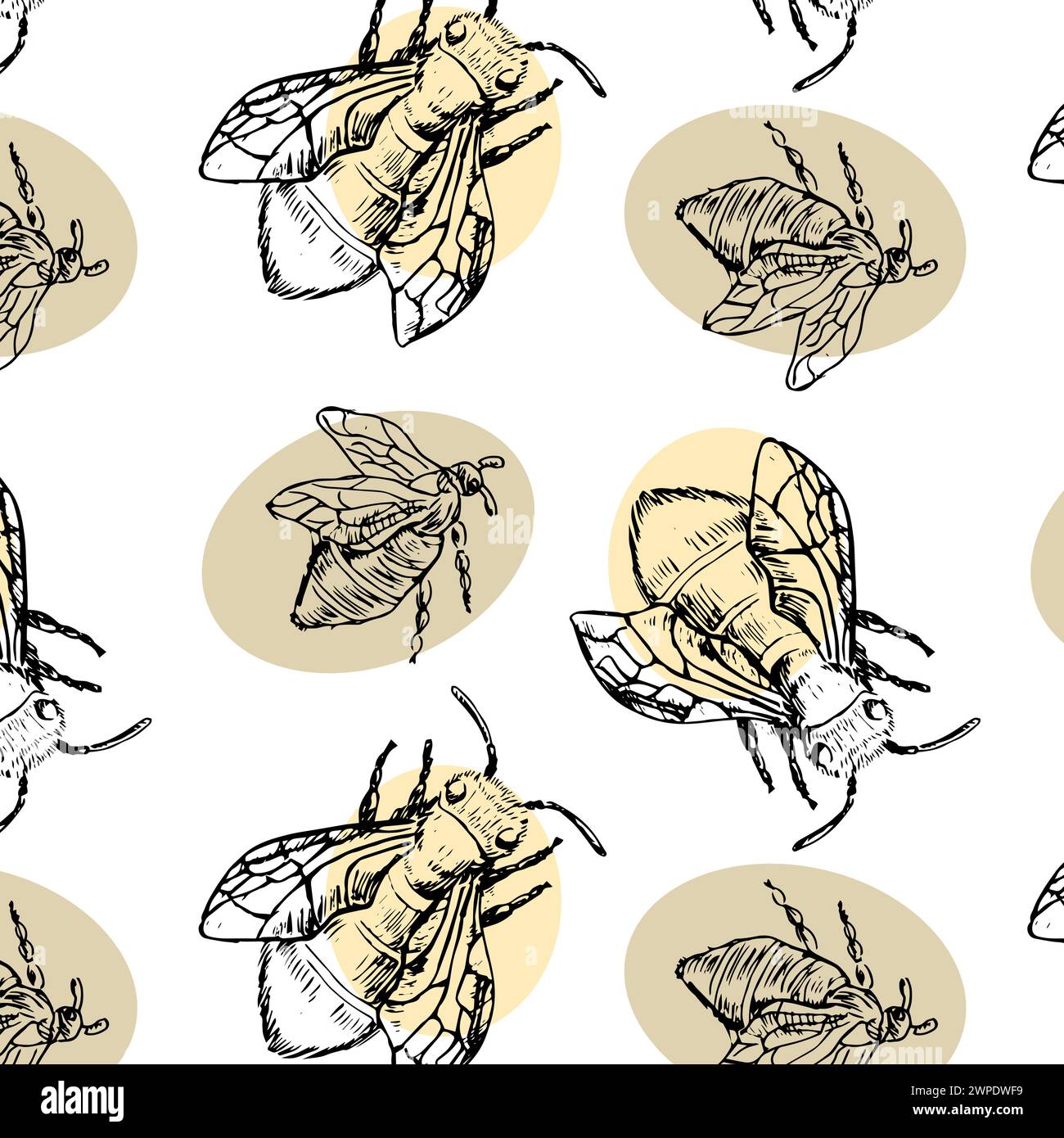 Bee drawing hi-res stock photography and images - Alamy