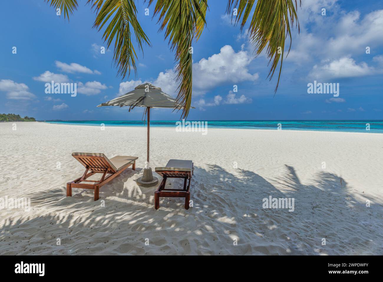 Tropical beach couple background as summer landscape with lounge chairs palm trees calm sea sand ...
