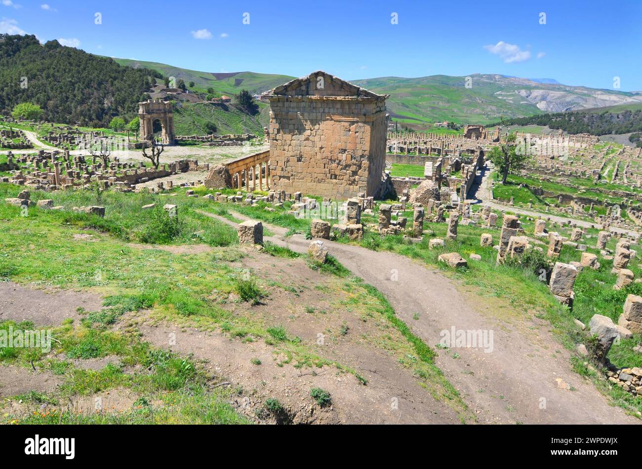 Temple of Severus in the Roman city of Cuicul, Algeria Stock Photo - Alamy