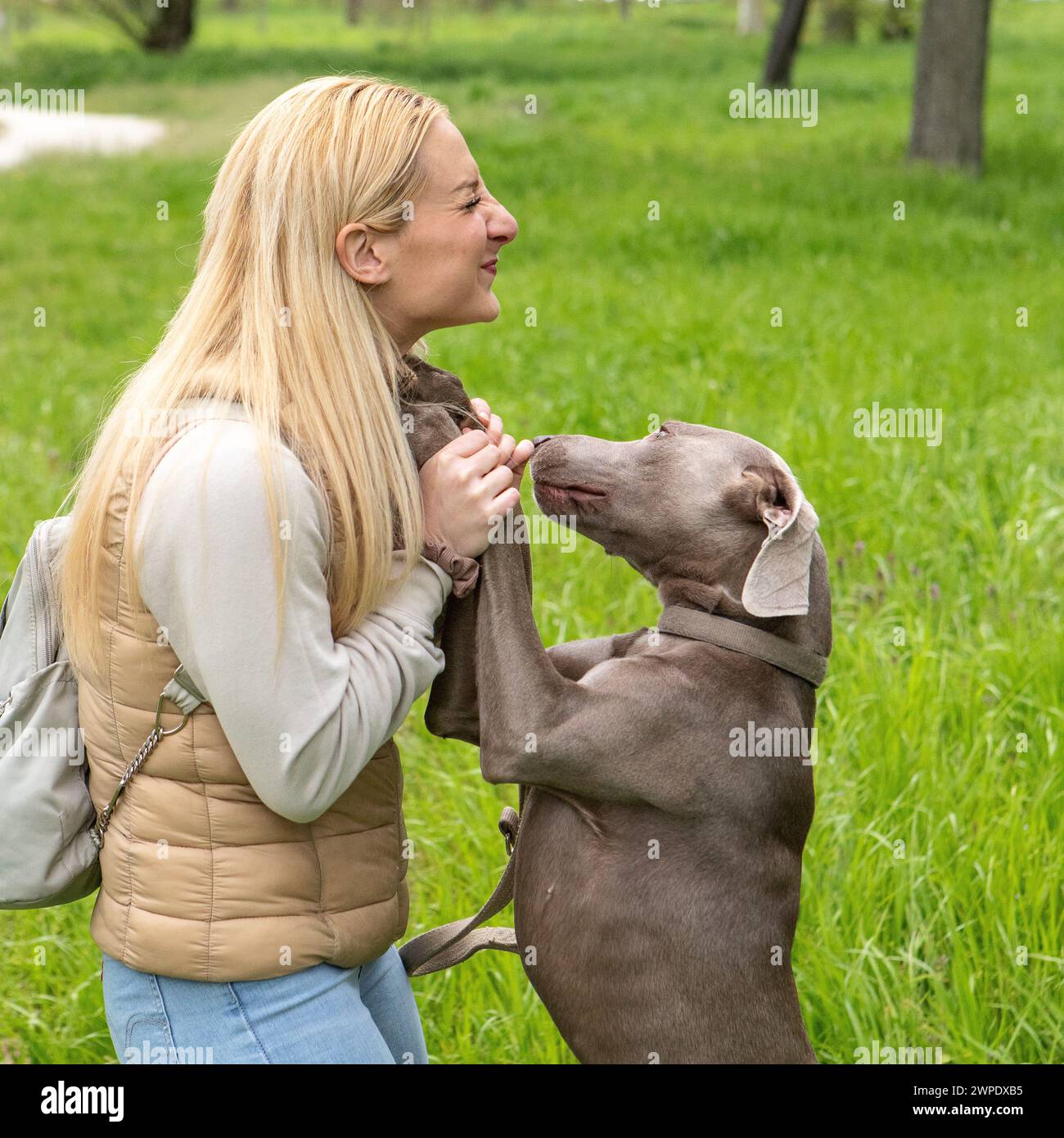 Dog and walking and hind legs and owner hi-res stock photography and ...