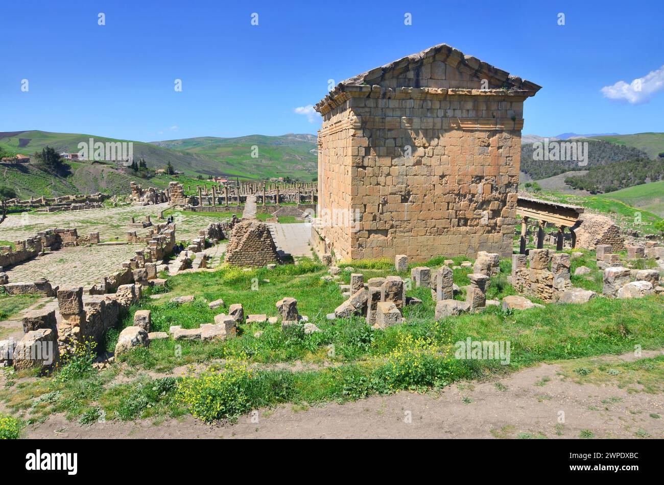 Temple of Severus in the Roman city of Cuicul, Algeria Stock Photo - Alamy