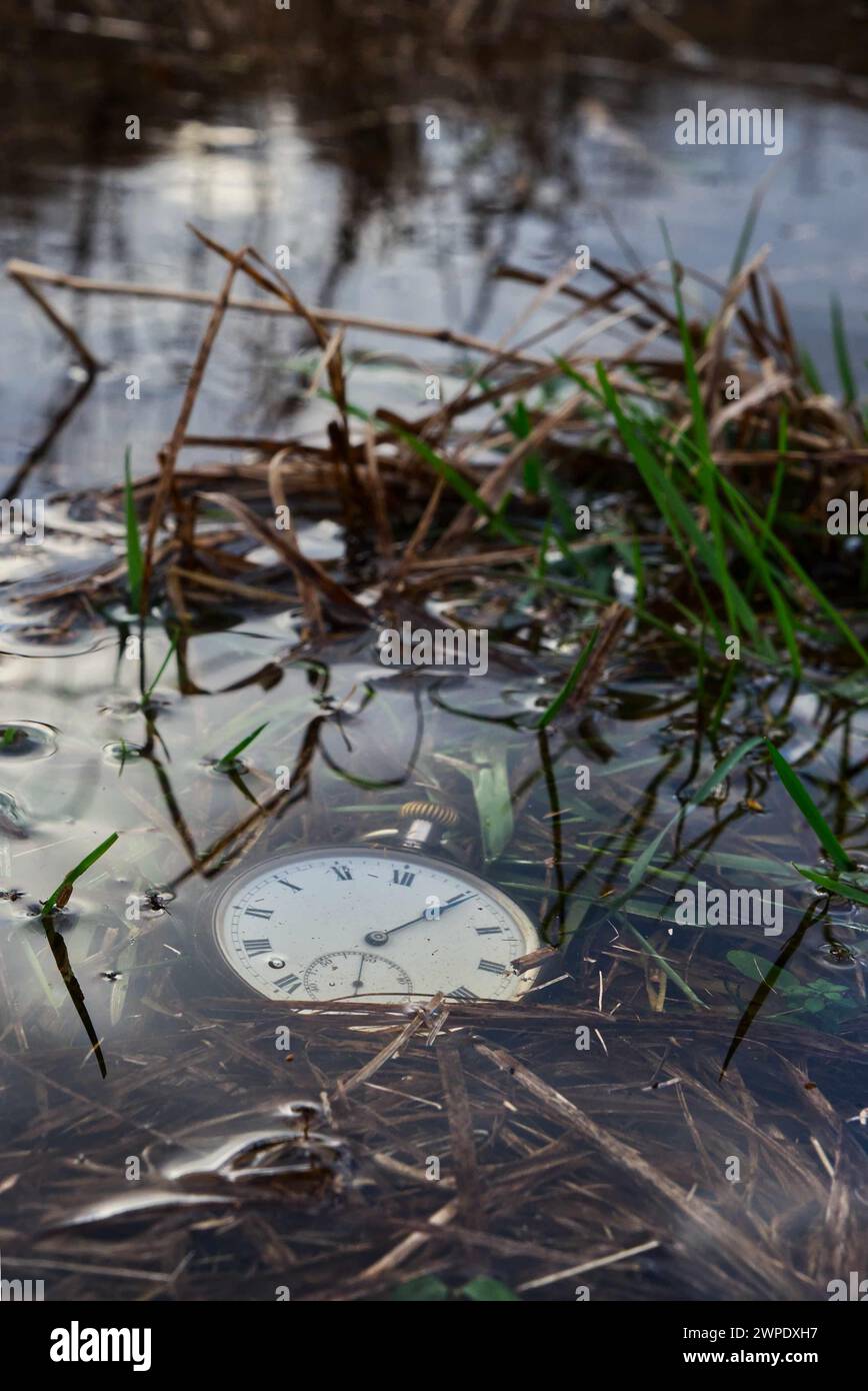 An old silver pocket watch laying in shallow water on the edge of a ...