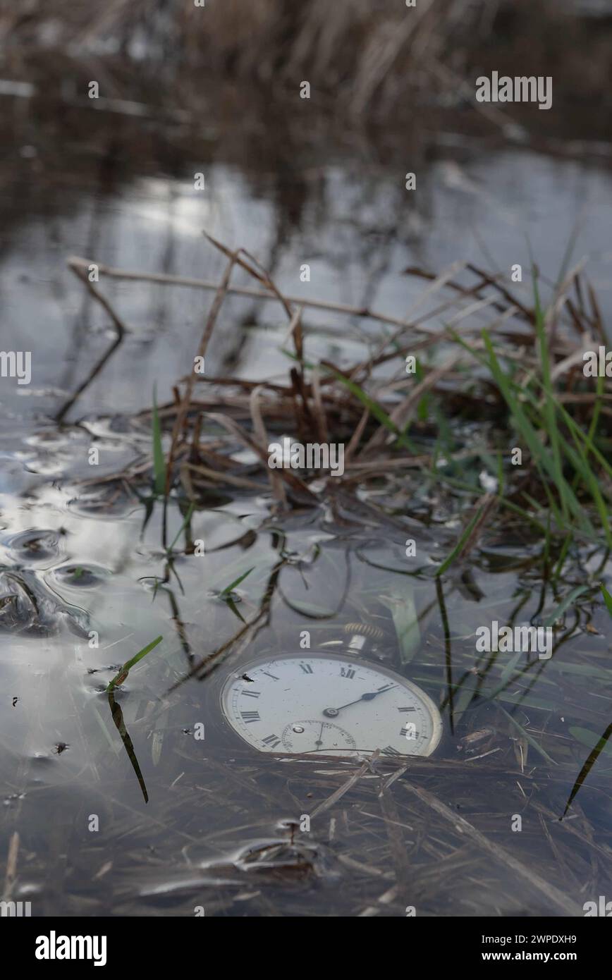 An old silver pocket watch laying in shallow water on the edge of a ...