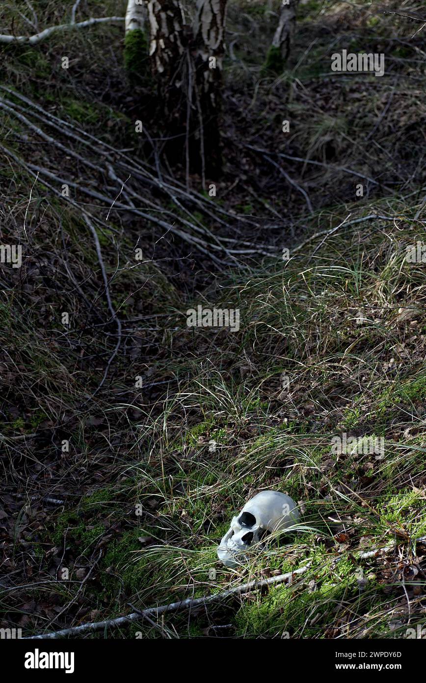 Human skull in grass hi-res stock photography and images - Alamy