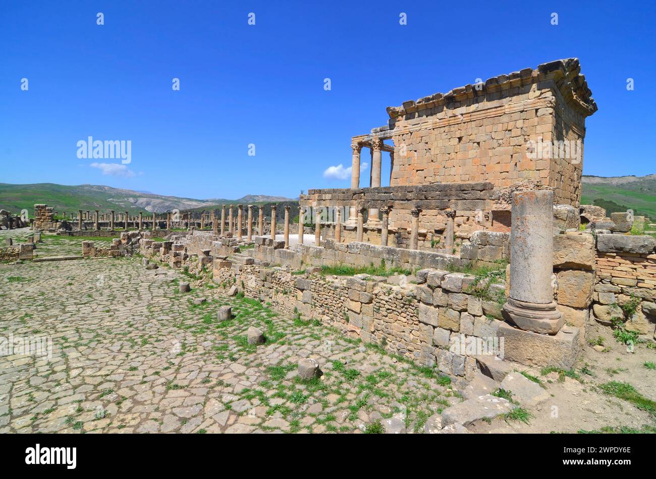 Temple of Severus in the Roman city of Cuicul, Algeria Stock Photo - Alamy
