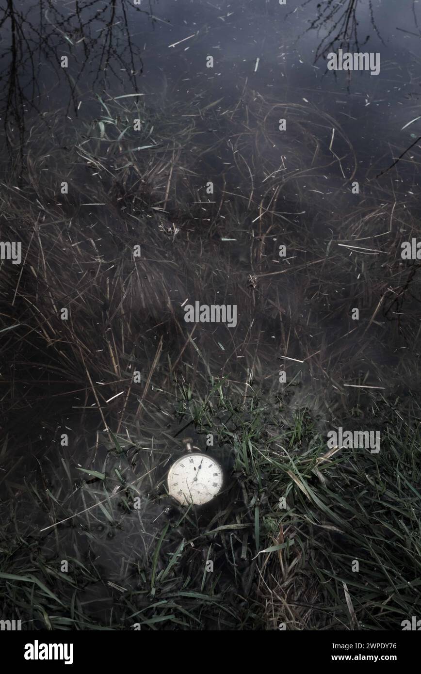 An old silver pocket watch laying in shallow water on the edge of a ...