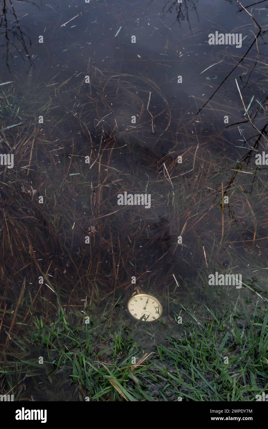 An old silver pocket watch laying in shallow water on the edge of a ...