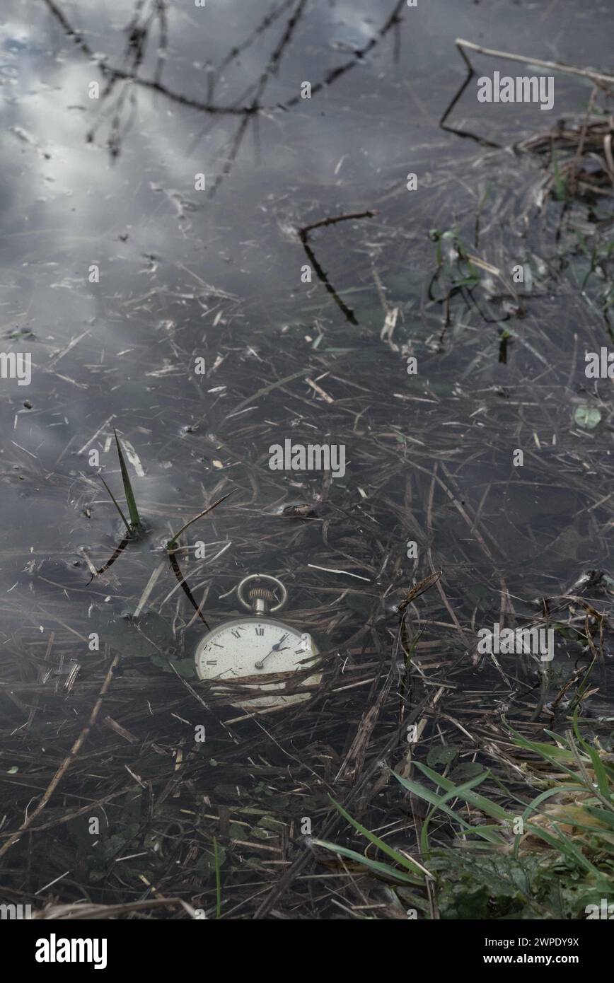 An old silver pocket watch laying in shallow water on the edge of a ...
