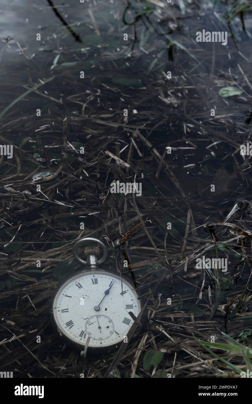 An old silver pocket watch laying in shallow water on the edge of a ...