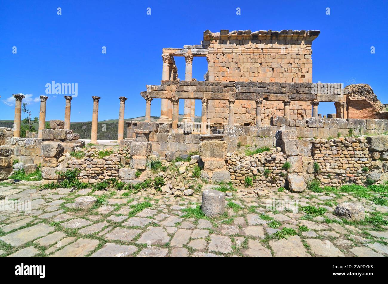 Temple of Severus in the Roman city of Cuicul, Algeria Stock Photo - Alamy