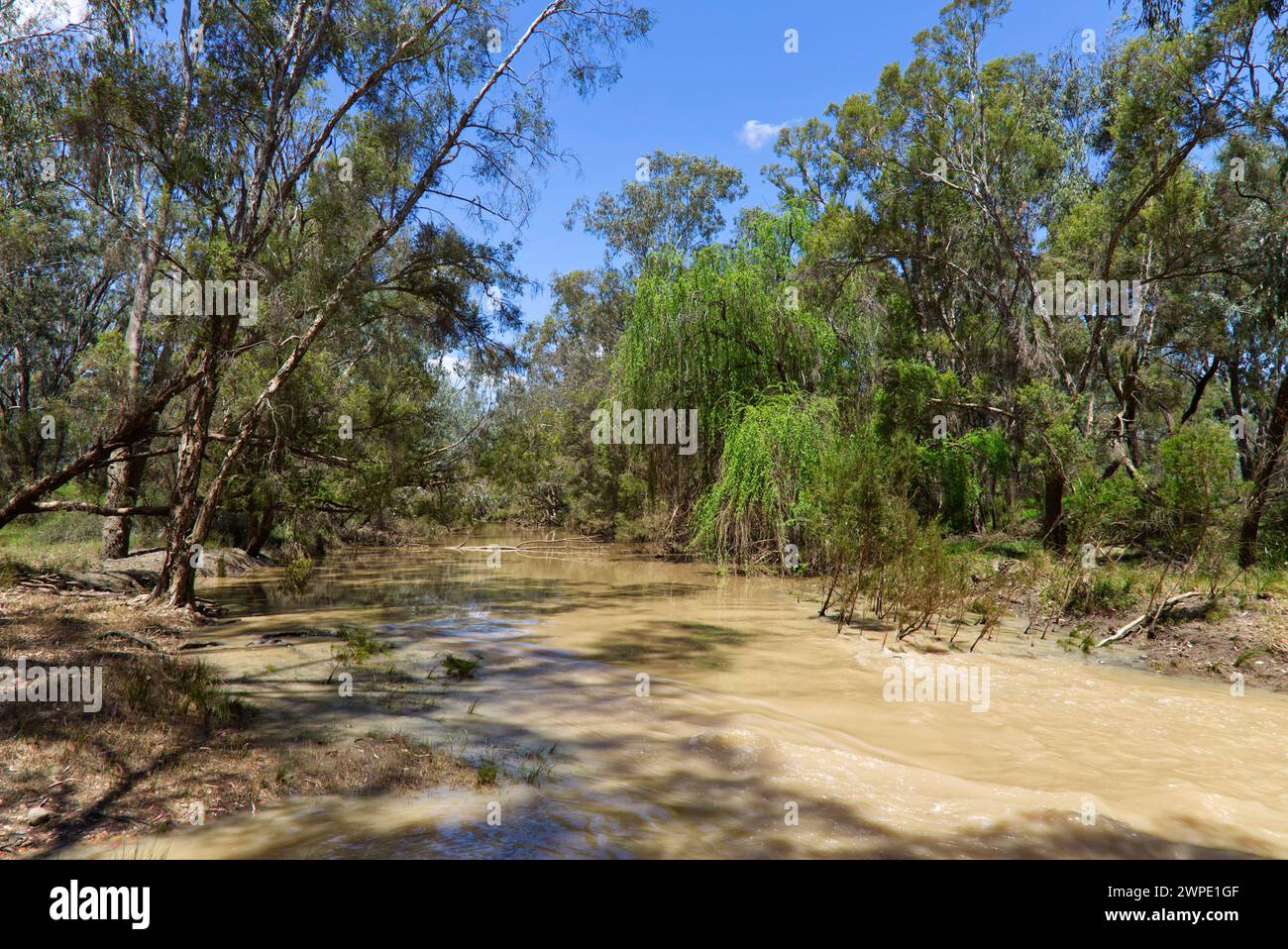 The Dawson River as it passes through Taroom Queensland Australia Stock ...