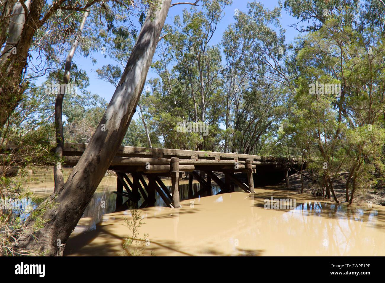 The Dawson River as it passes through Taroom Queensland Australia Stock ...